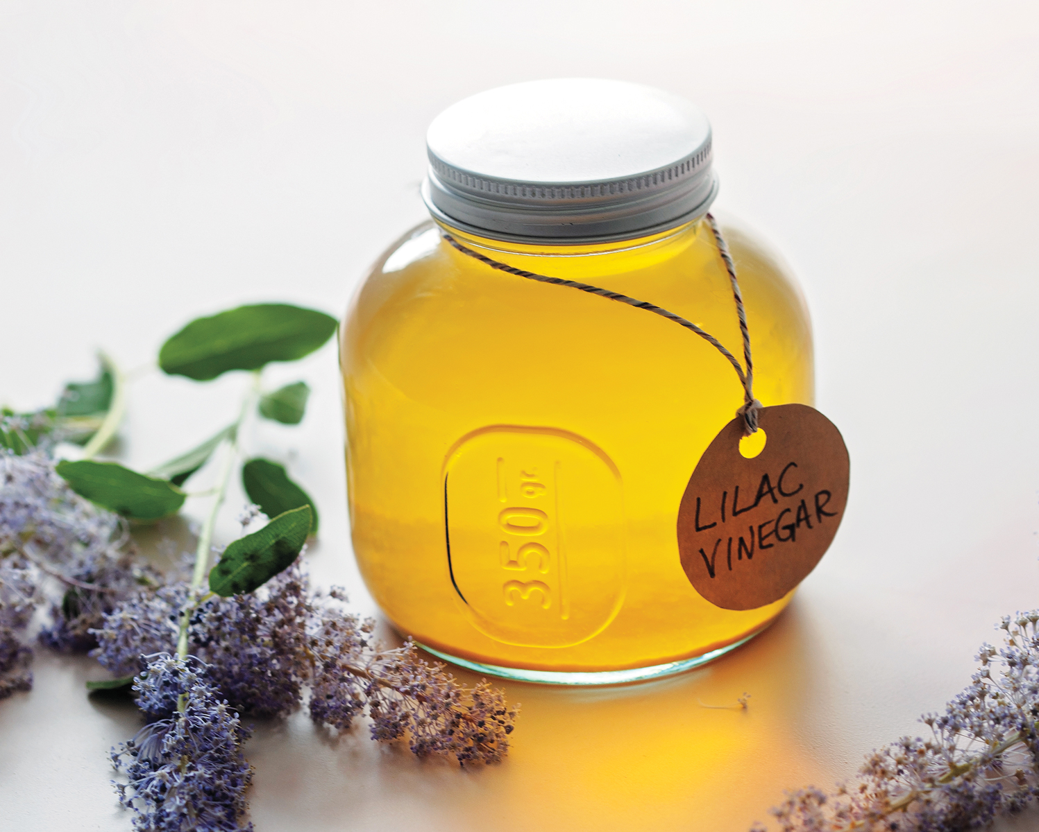 Wildcrafted Lilac Vinegar – Mother Earth News